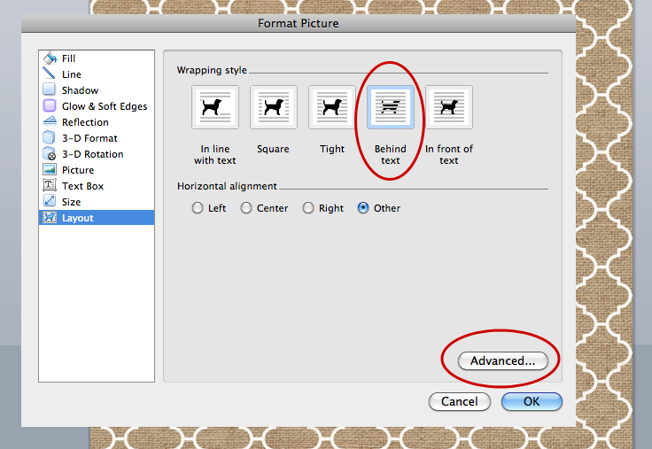 How To Place Images And Text In Microsoft Word Pickychicken